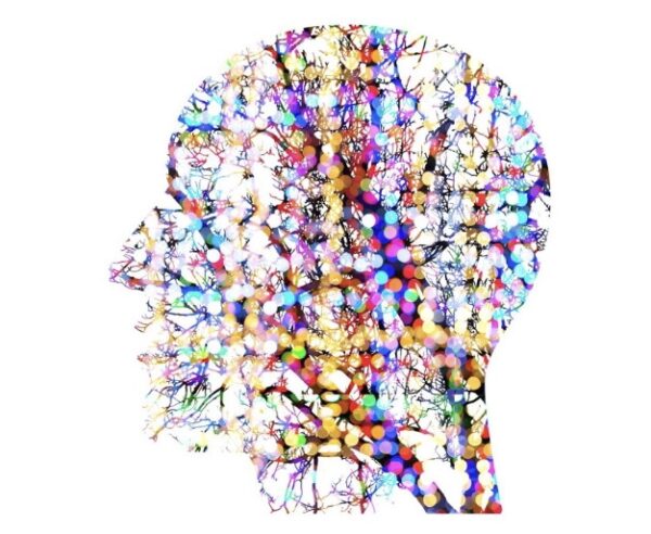 Deborah Connors | Blog